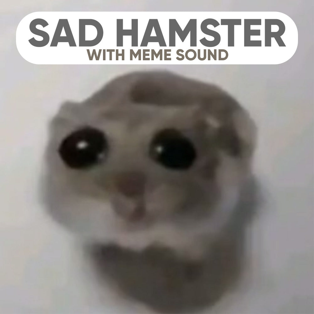 Hampter™ | Sad Hamster With Meme Sound - TikTok Trend