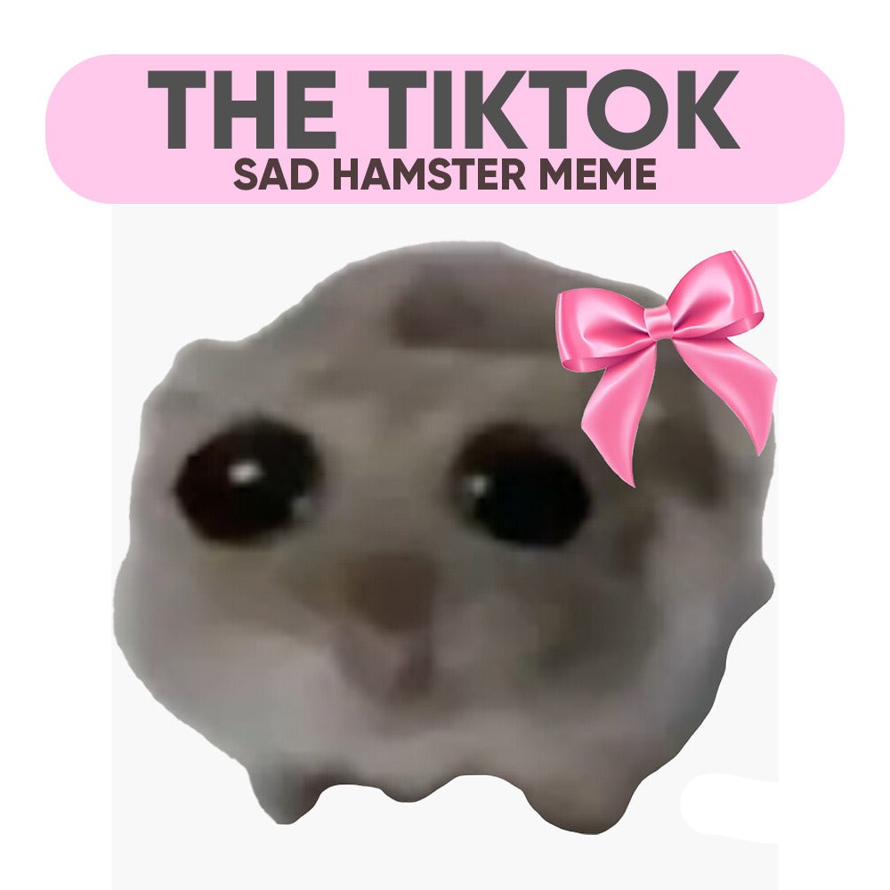 Hampter™ | Sad Hamster With Meme Sound - TikTok Trend